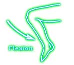 Range of Movement (ROM)